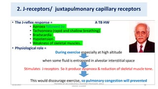 Voluntary control of respiration, respiratory reflexes | PDF