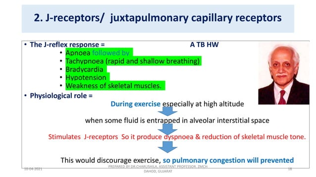 Voluntary control of respiration, respiratory reflexes | PDF