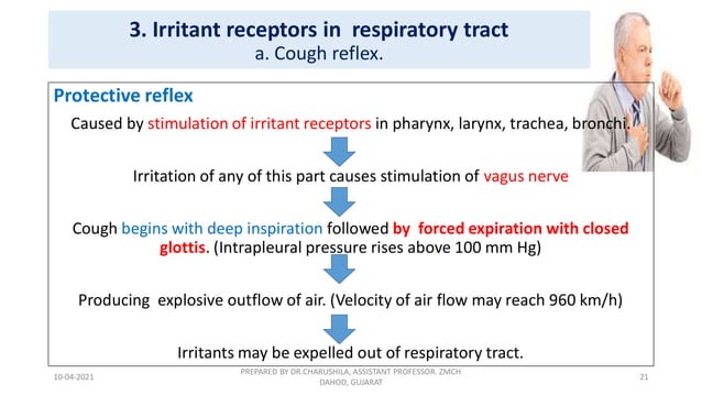 Voluntary control of respiration, respiratory reflexes | PDF