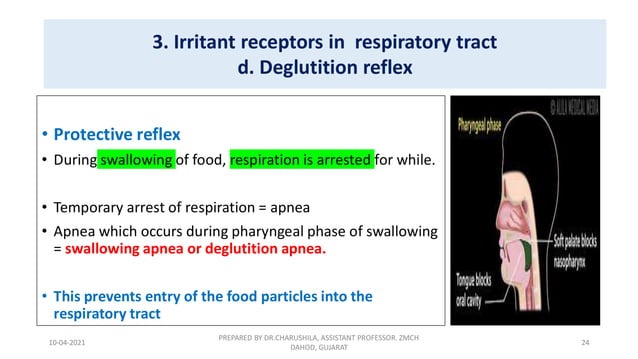 Voluntary control of respiration, respiratory reflexes | PDF