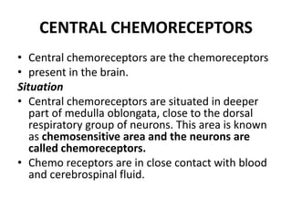 Regulation of respiration | PPTX