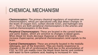 Regulation of respiration.pptx