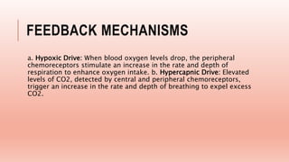 Regulation of respiration.pptx