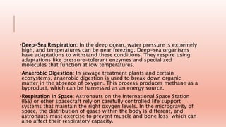 Regulation of respiration.pptx