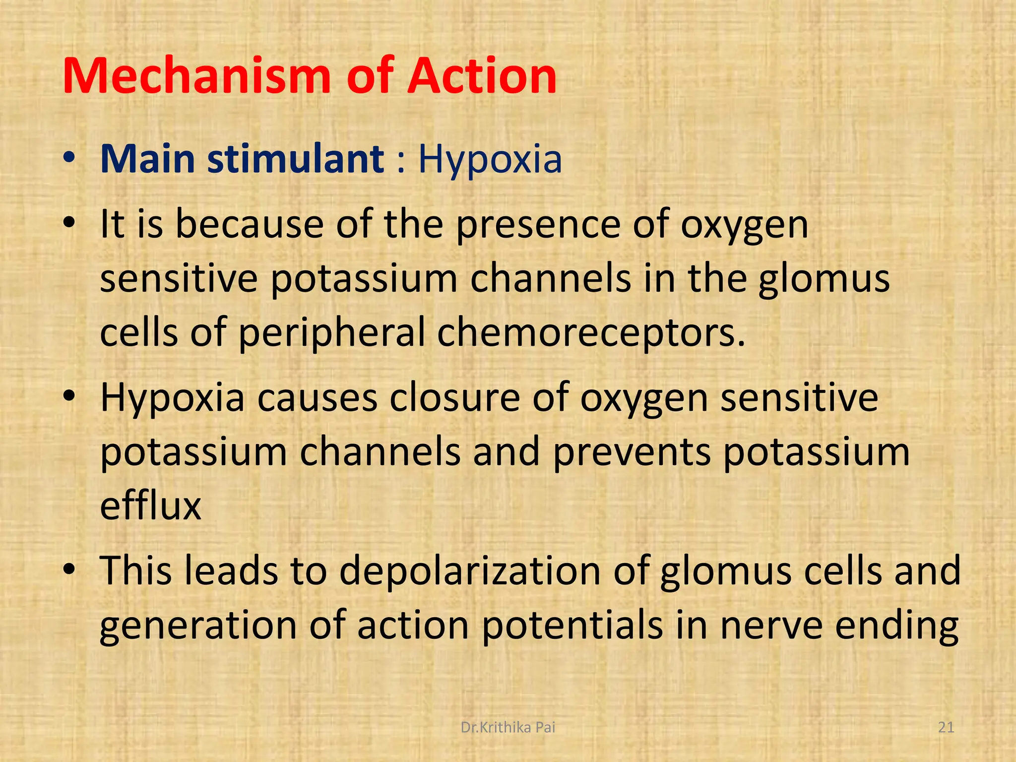 Regulation of Respiration- Control of respiration | PDF
