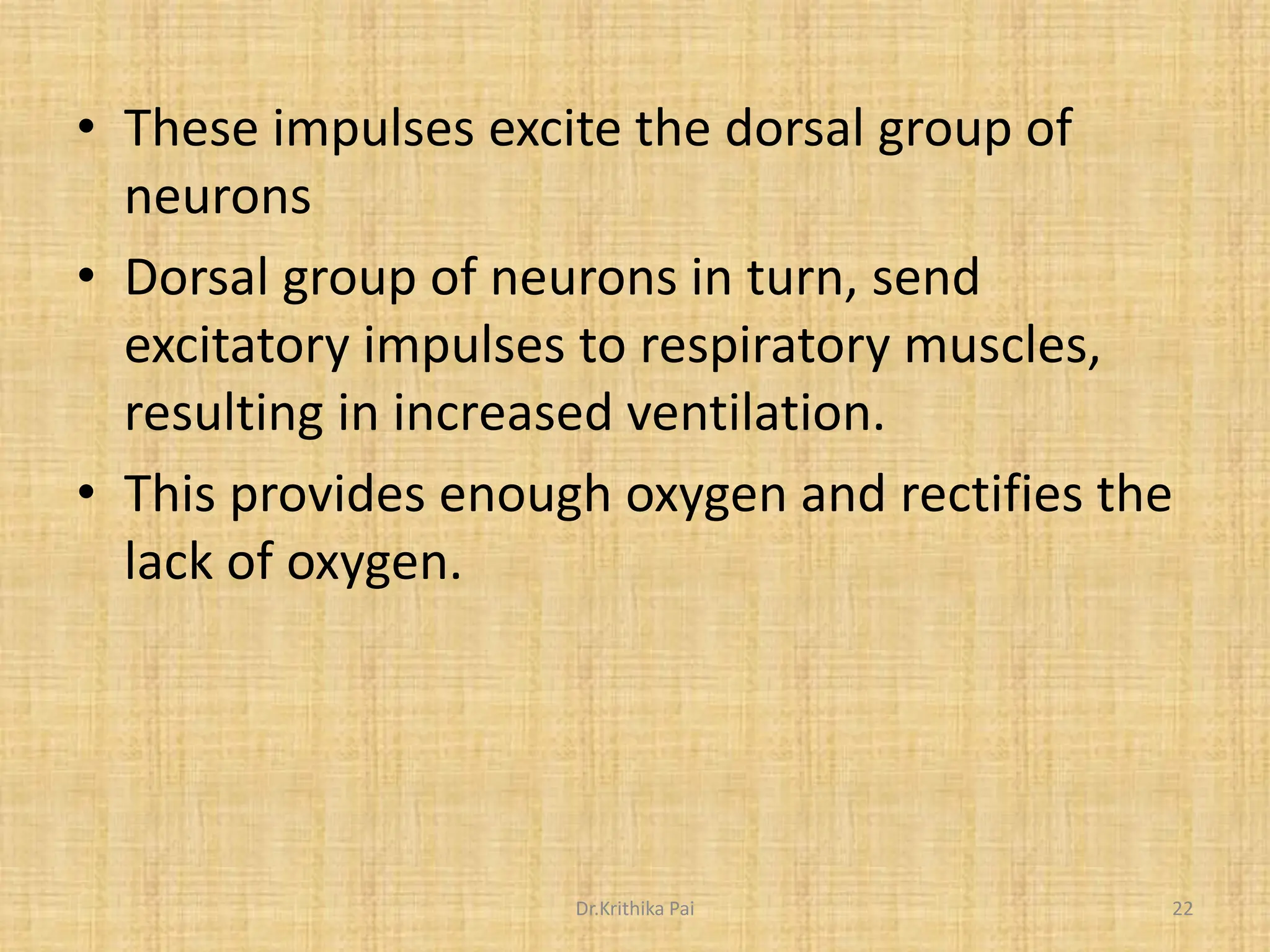 Regulation of Respiration- Control of respiration | PDF