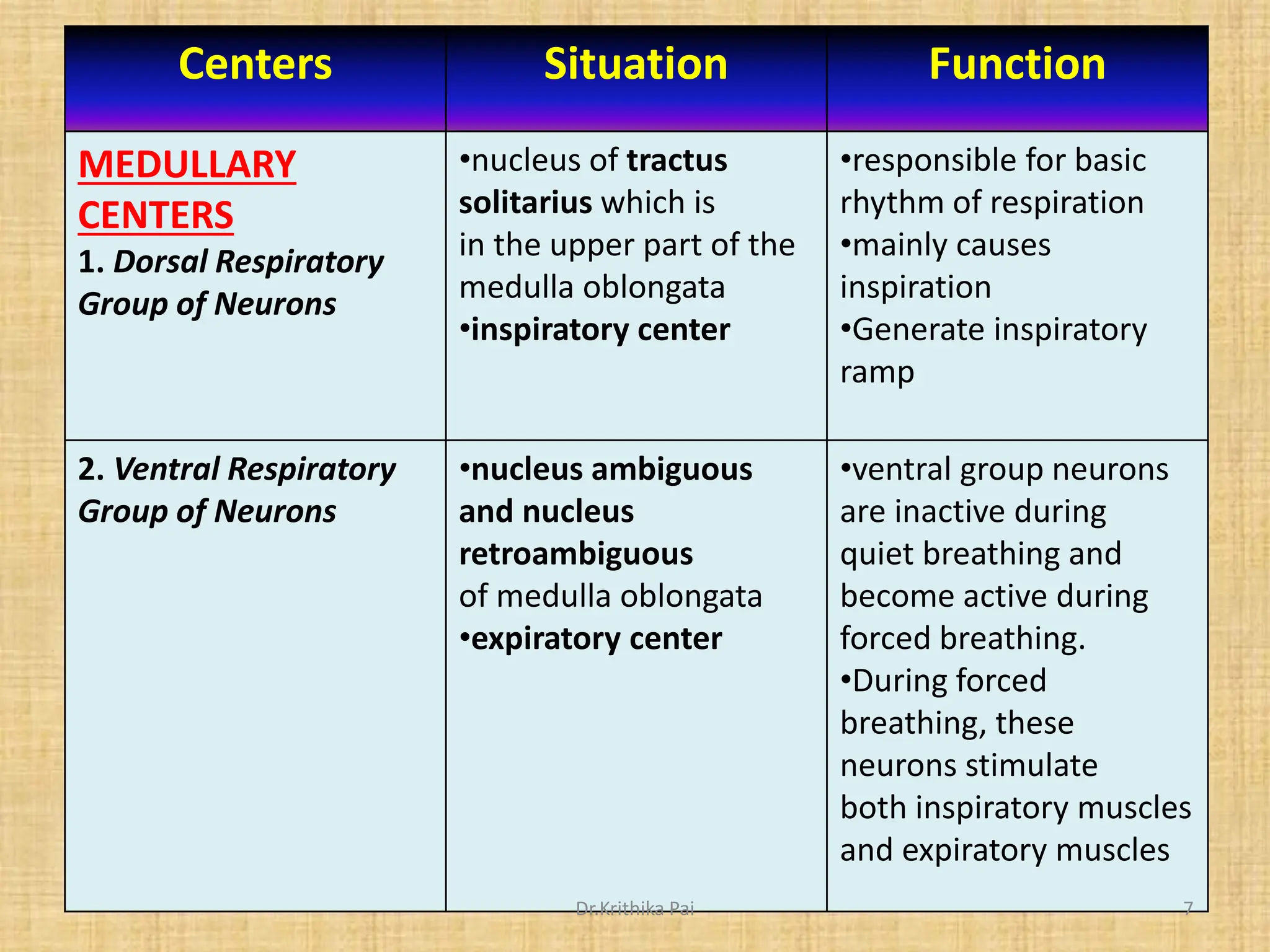 Regulation of Respiration- Control of respiration | PDF
