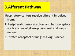 Regulation of Respiration- Control of respiration | PDF