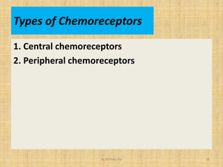 Regulation of Respiration- Control of respiration | PDF
