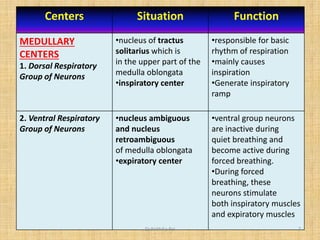 Regulation of Respiration- Control of respiration | PDF