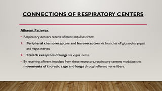 REGULATION OF RESPIRATION physiology slides | PPTX