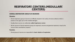 REGULATION OF RESPIRATION physiology slides | PPT