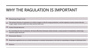 Regulation of Respiration and there different function | PPTX