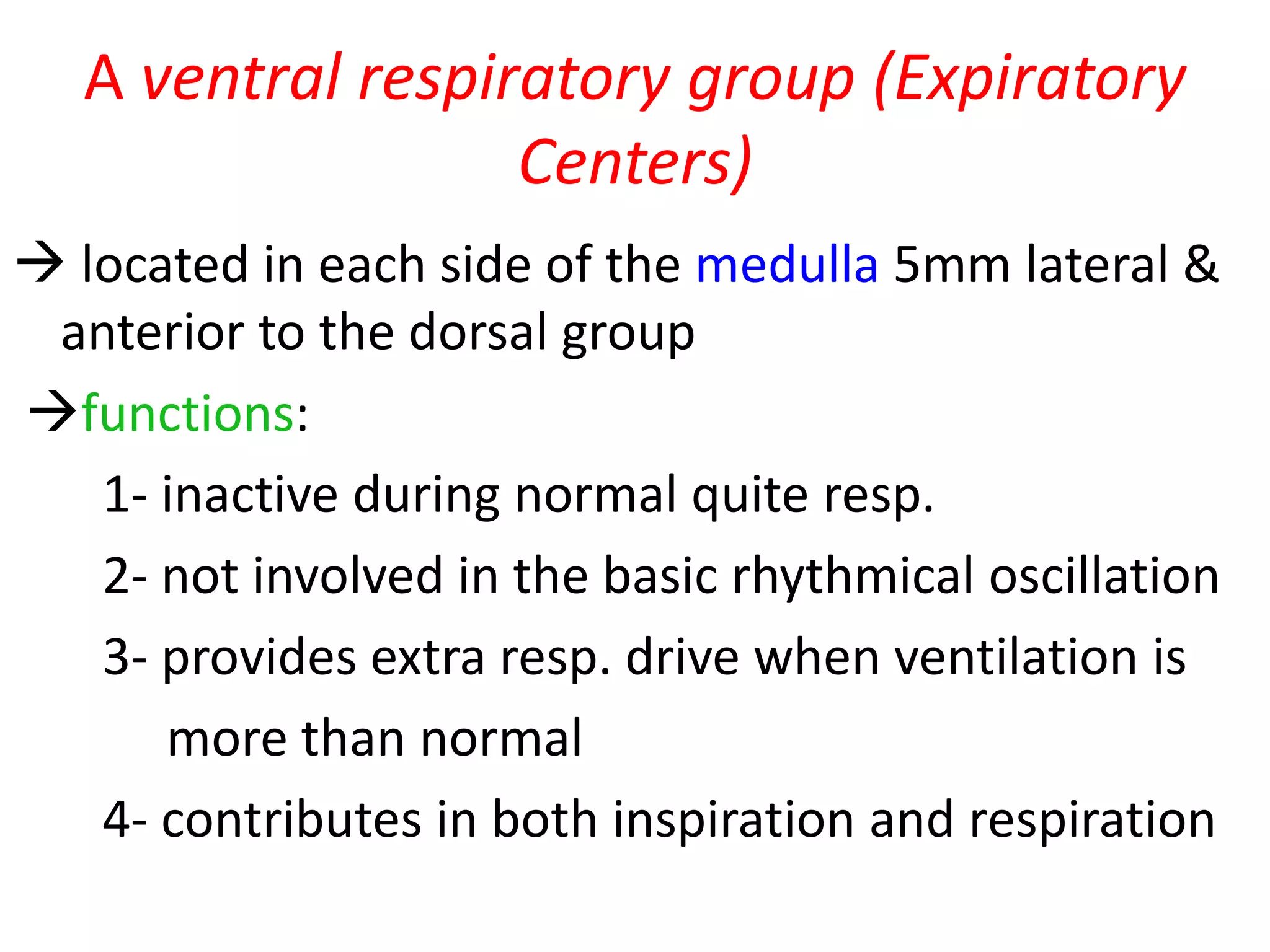 Regulation of respiration ap-converted | PDF