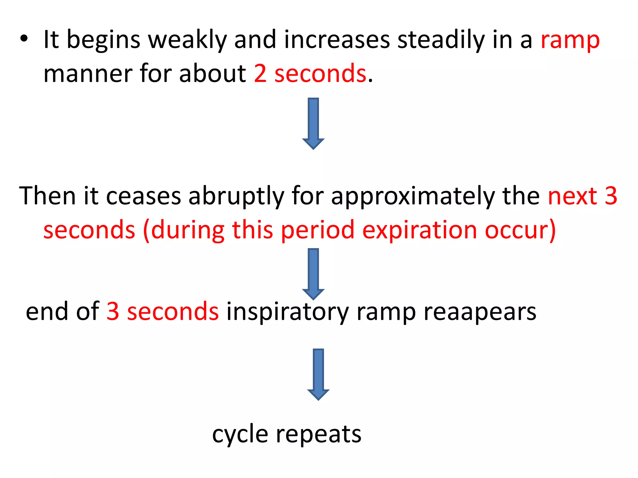 Regulation of respiration ap-converted | PDF
