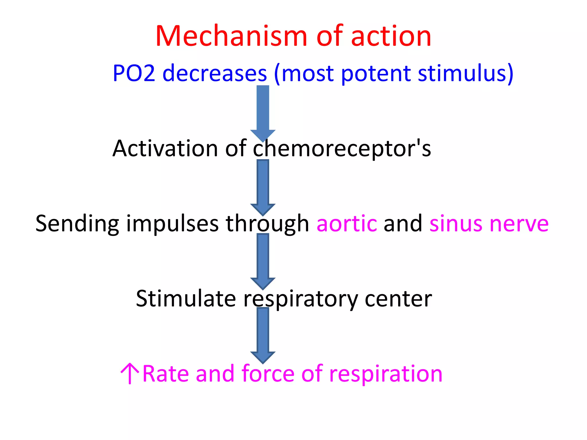 Regulation of respiration ap-converted | PDF
