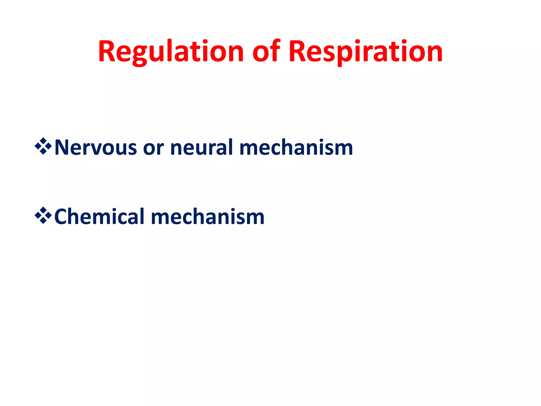 Regulation of respiration ap-converted | PDF
