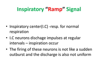Regulation of respiration ap-converted | PDF