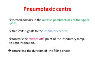 Regulation of respiration ap-converted | PDF