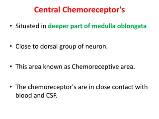 Regulation of respiration ap-converted | PDF