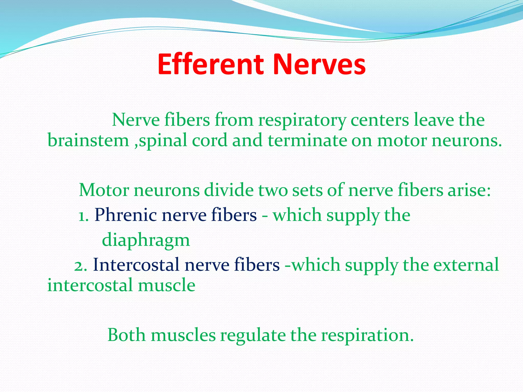Regulation of respiration | PPTX