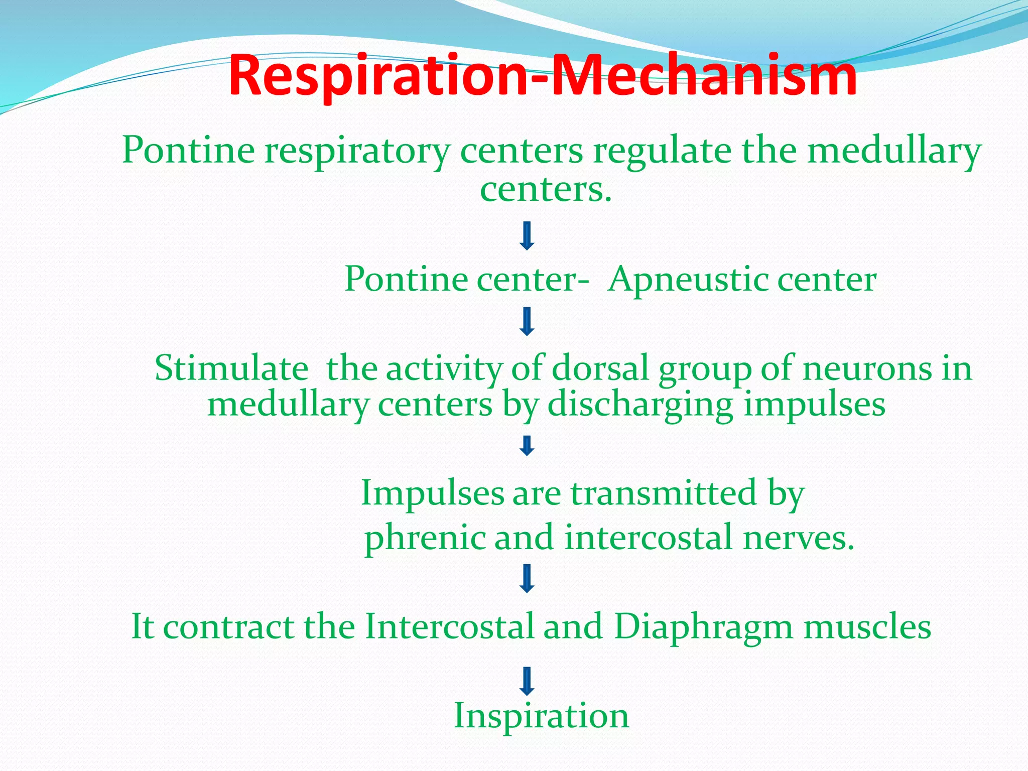 Regulation of respiration | PPTX