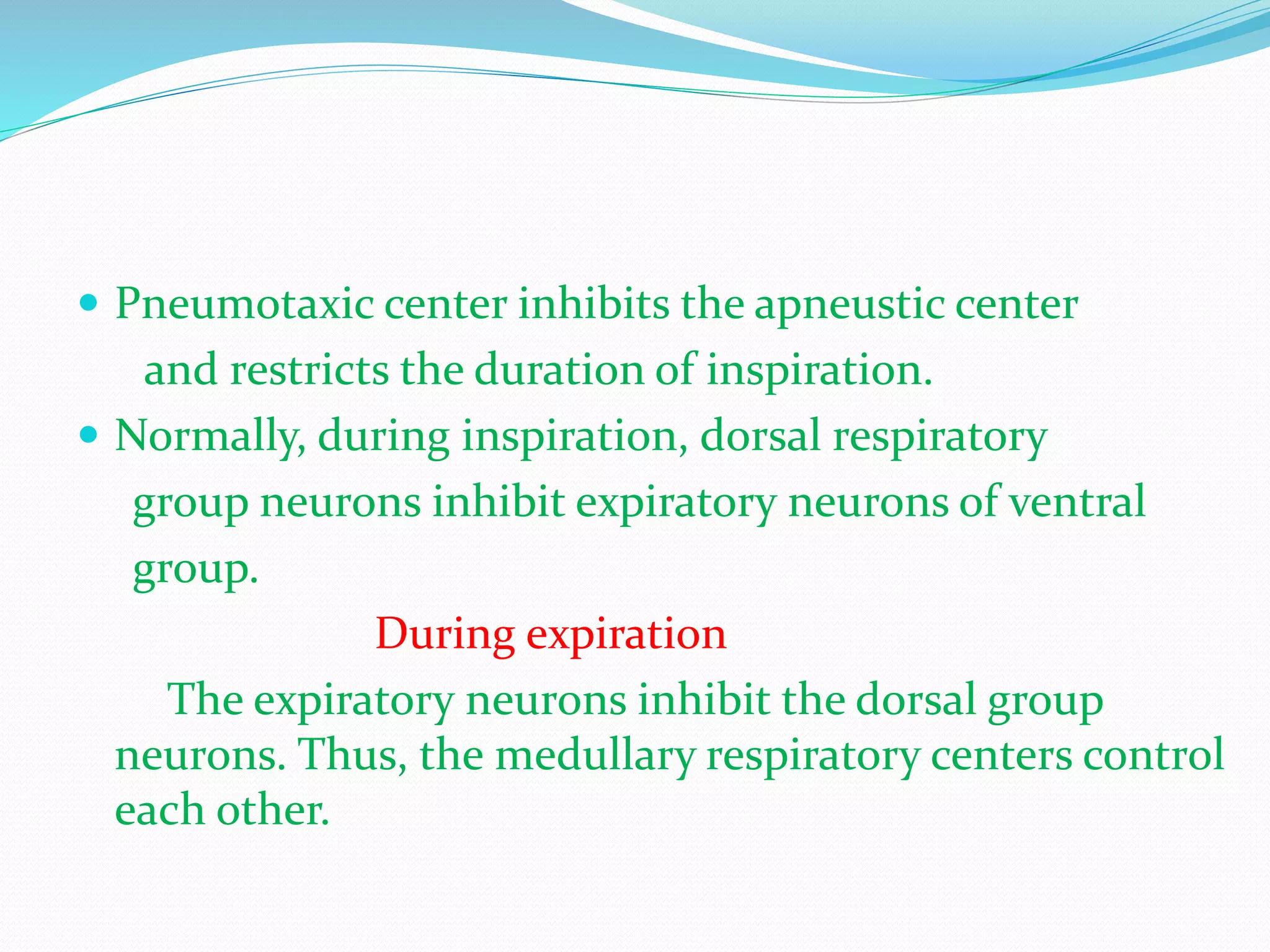 Regulation of respiration | PPTX | Lung and Respiratory Health ...