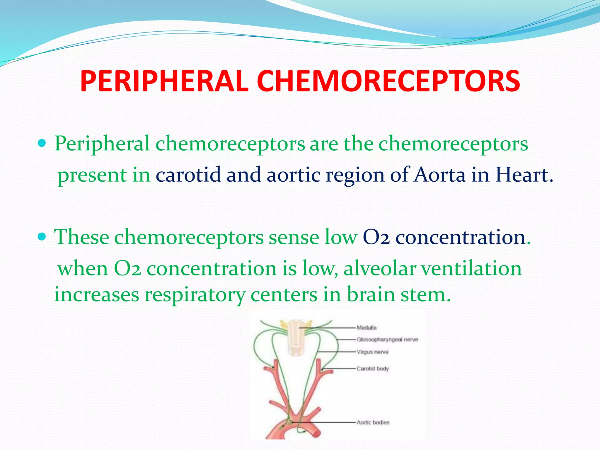 Regulation of respiration | PPTX