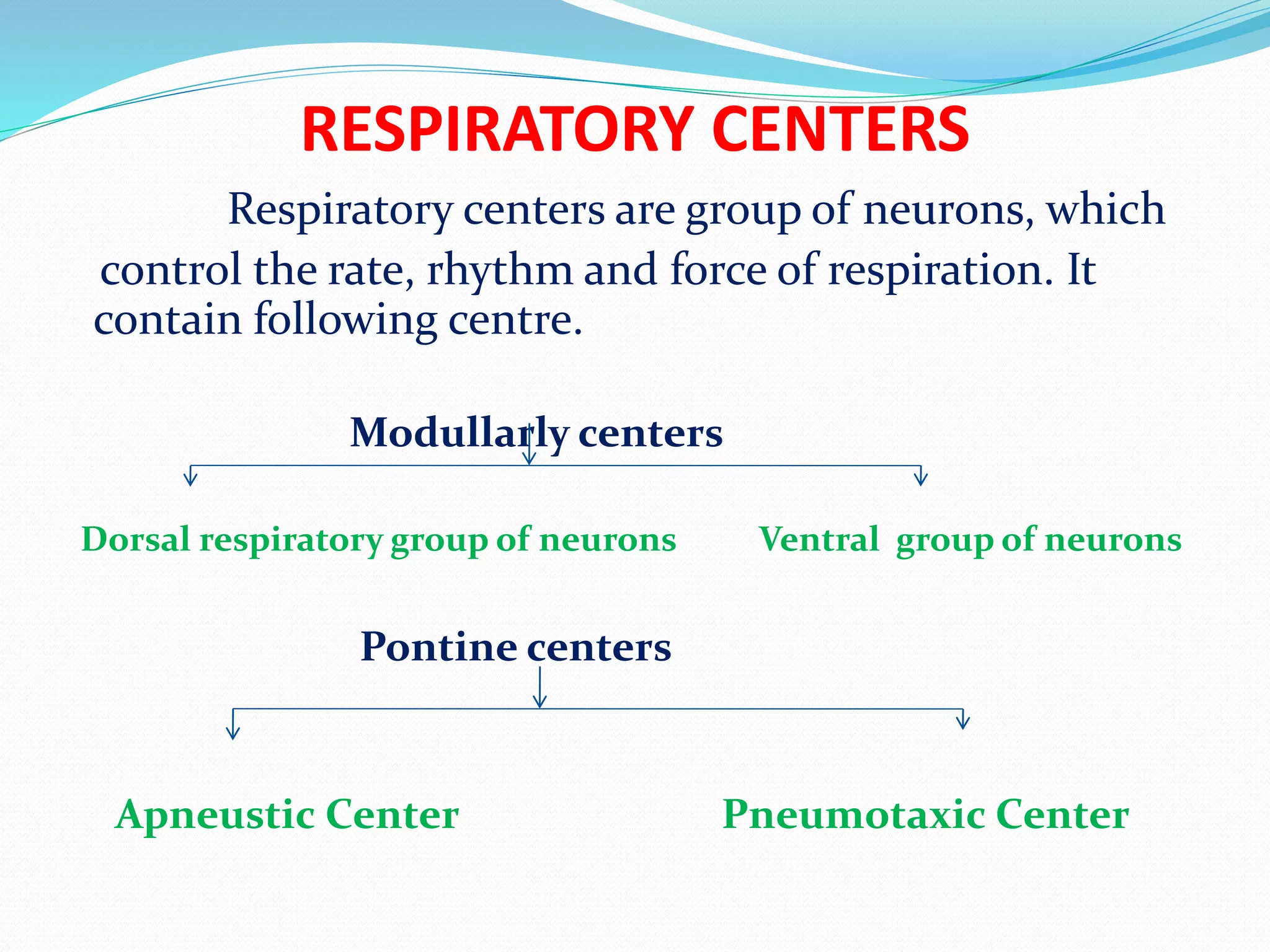 Regulation of respiration | PPTX