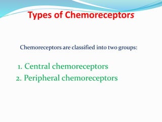 Regulation of respiration | PPTX | Lung and Respiratory Health ...