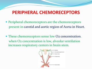 Regulation of respiration | PPTX