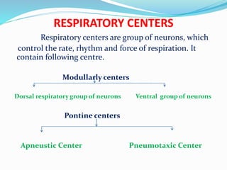 Regulation of respiration | PPTX | Lung and Respiratory Health ...