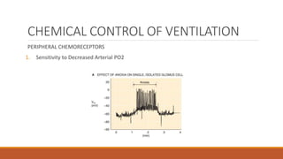 Regulation of respiration Bo.pptx