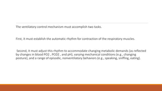 Regulation of respiration Bo.pptx
