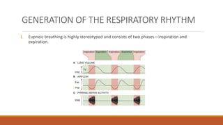 Regulation of respiration Bo.pptx