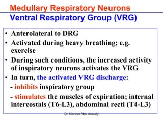 Regulation of respiration, mmmp | PPTX | Lung and Respiratory Health ...