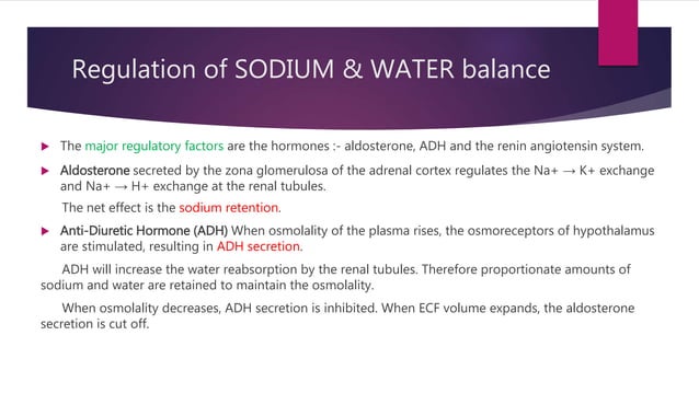Regulation of sodium & water balance | PPTX | Hormonal Disorders ...