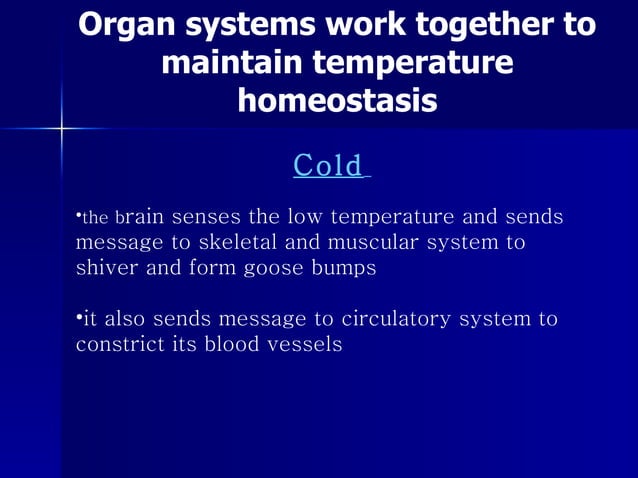 Regulation of temperature | PPT | Biological Sciences | Science