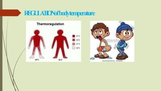 Regulation of temperaturembbsrana-170719115212.pptx