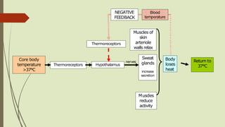 Regulation of temperaturembbsrana-170719115212.pptx