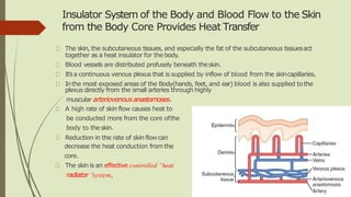 Regulation of temperaturembbsrana-170719115212.pptx