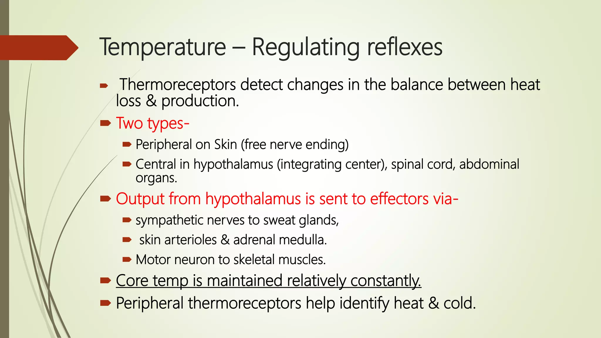 Regulation of temperature of Human body | PPTX