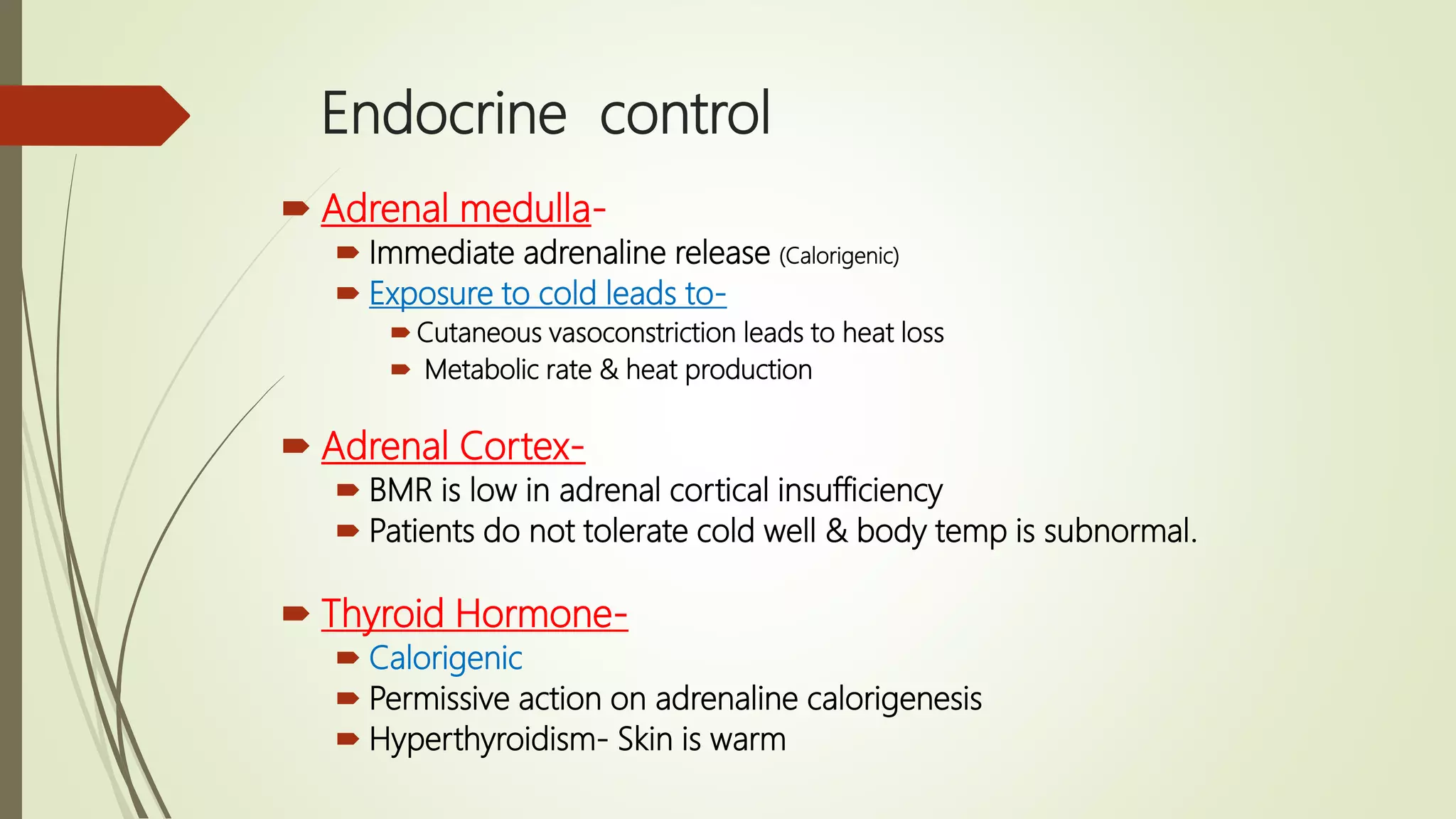 Regulation of temperature of Human body | PPTX