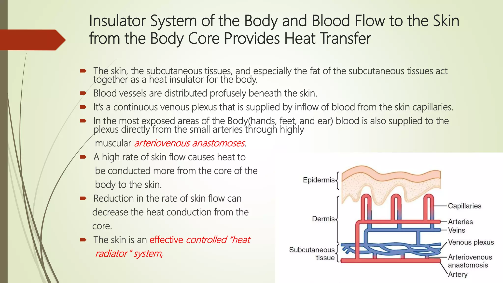 Regulation of temperature of Human body | PPTX