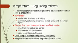 Regulation of temperature of Human body | PPTX