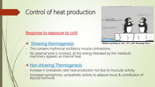 Regulation of temperature of Human body | PPTX