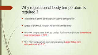 Regulation of temperature of Human body | PPTX