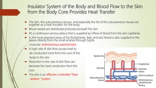 Regulation of temperature of Human body | PPTX