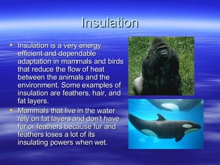 Regulation+Of+The+ Internal+ Environment+Presentation+Final | PPT