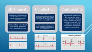 Regulation of the cardiac activitydcbdbsbsbhwsgwsrgwrg.pptx